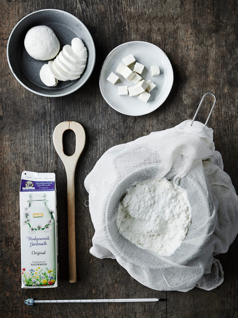 Kom i gang med hjemmelavet ost - Ostesnak